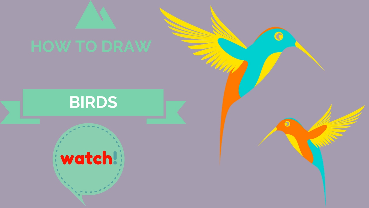 How To Draw Bird| How To Draw Bird Wings|How To Draw Bird Feathers ...
