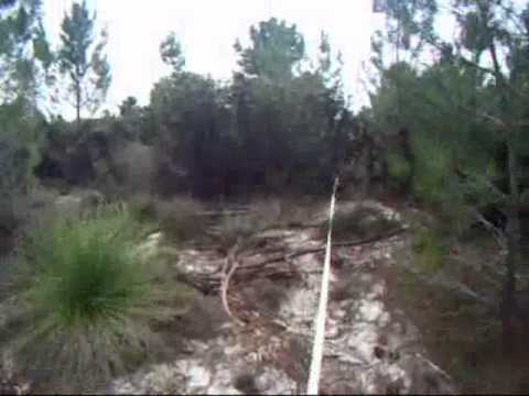 GoPro Search and Rescue Dog Cam.wmv - YouTube