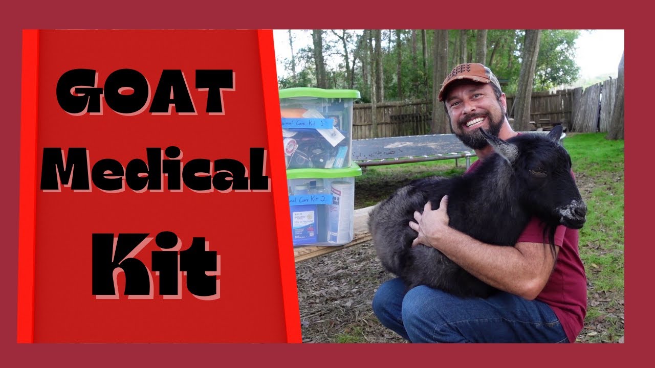 Essential Goat Medical Kit: How To Be Prepared For Animal Emergencies ...