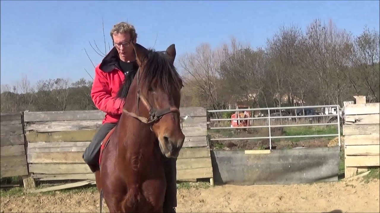 coaching relation cheval cavalier 1 - YouTube