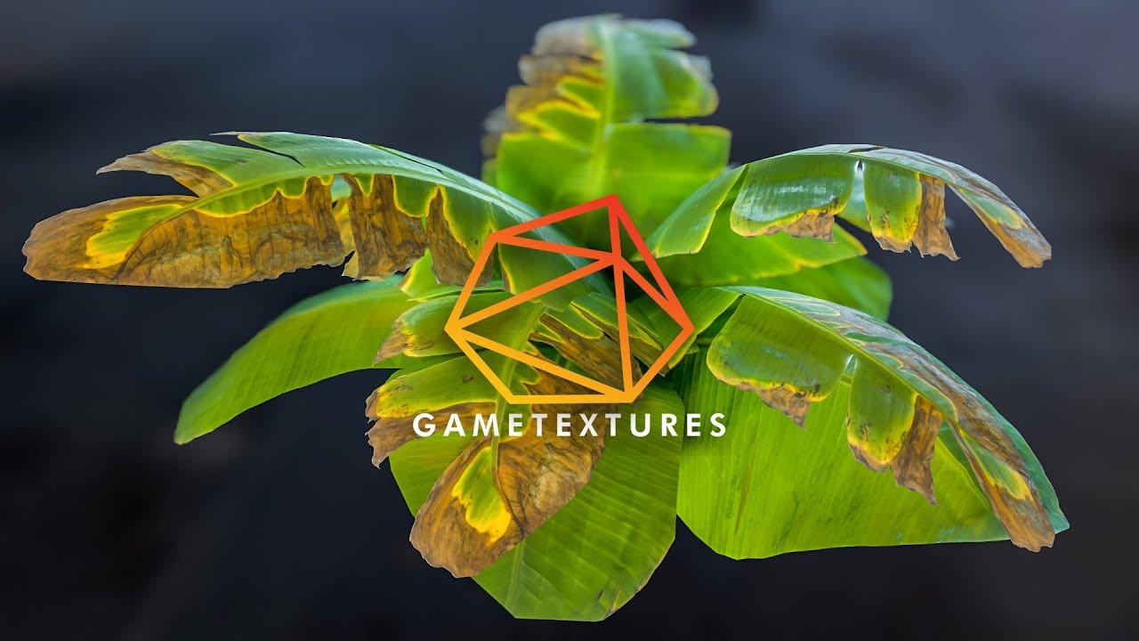 [Full Tutorial] The Trick to Creating Beautiful Foliage Models with ...