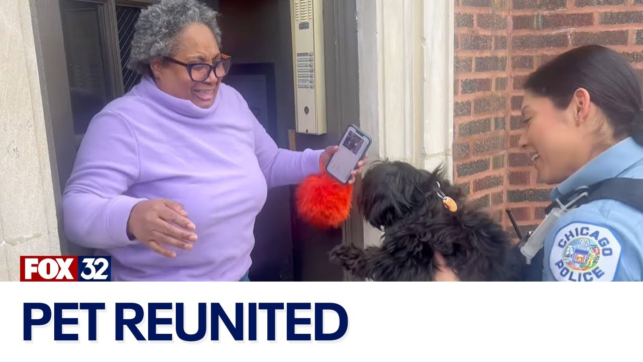 Dog reunited with owner after 2 years apart with help from CPD - YouTube