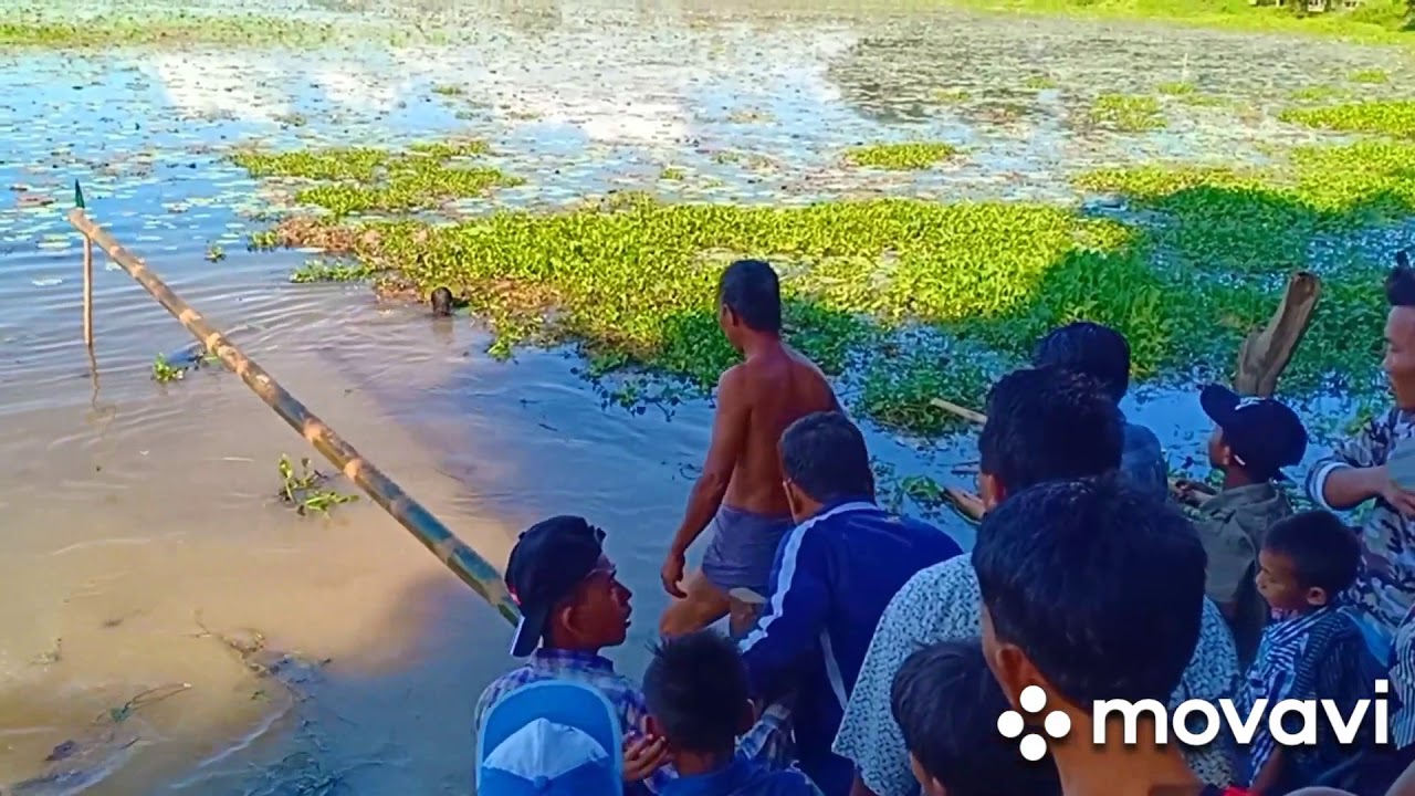 Myanmar Popular Game for Village Celebration - YouTube