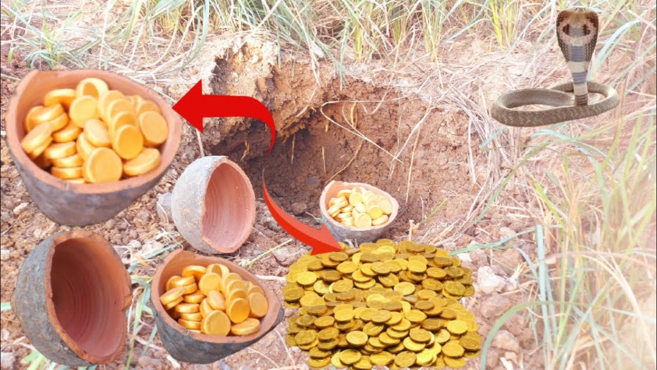 120 Year Old Treasure Hunt Gold Coins We got gold biscuits ...