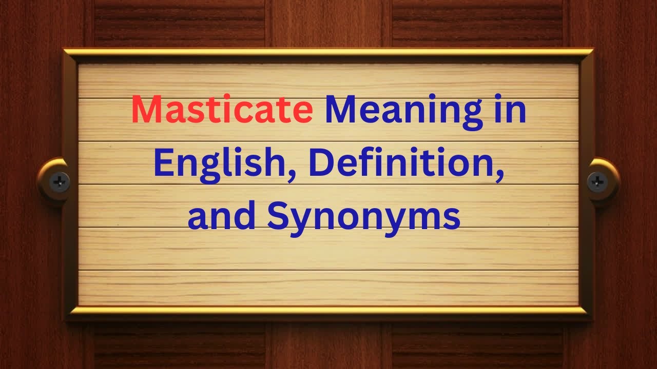 What Does Masticate Mean? Definition and Synonyms Explained | Thesaurus ...