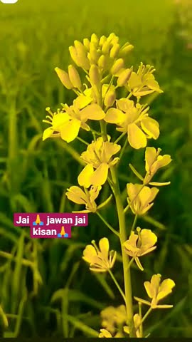 please subscribe karo guyzz - YouTube