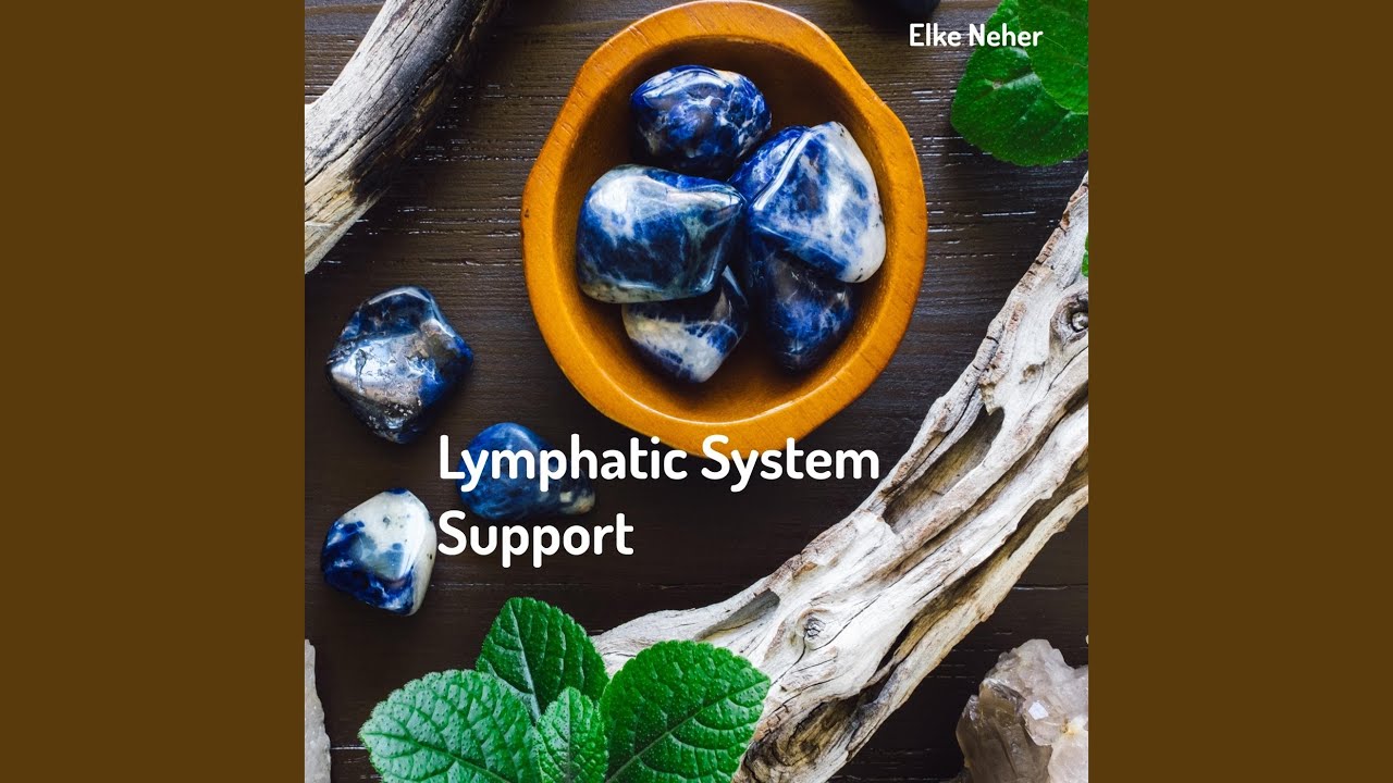 Lymphatic System Support - YouTube