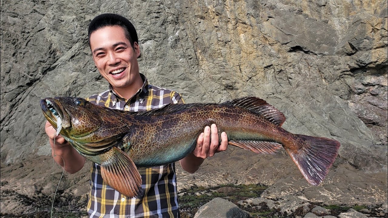 Catching GIGANTIC Fish from ... SHORE!!! Unbelievable Catch! - YouTube