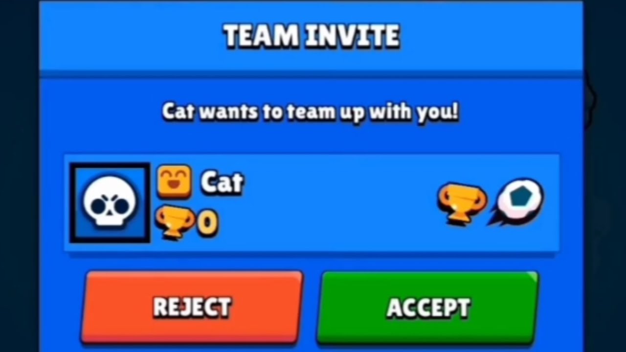 When your CAT starts playing BRAWL STARS - YouTube
