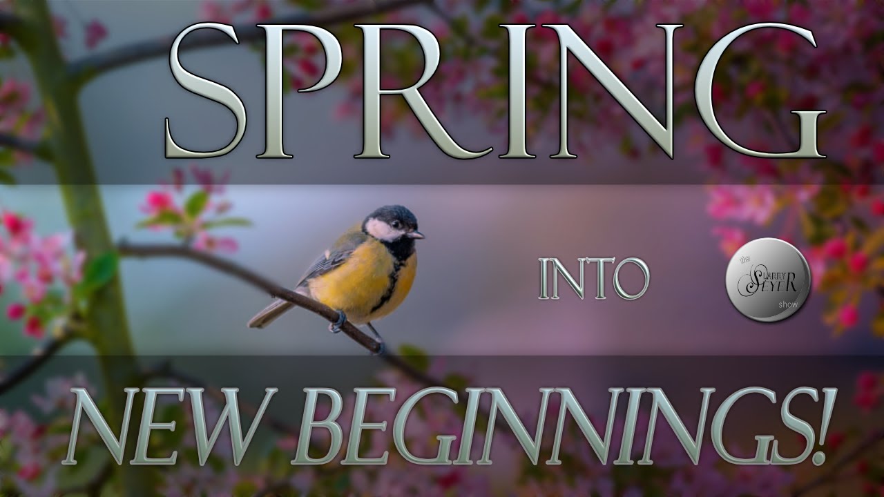 Spring into New Beginnings with Happiness! - YouTube