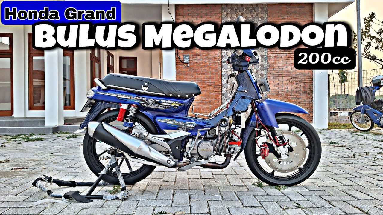 Honda Grand Bulus Megalodon Kop Boring Standart Tiger | #hondaastrea # ...