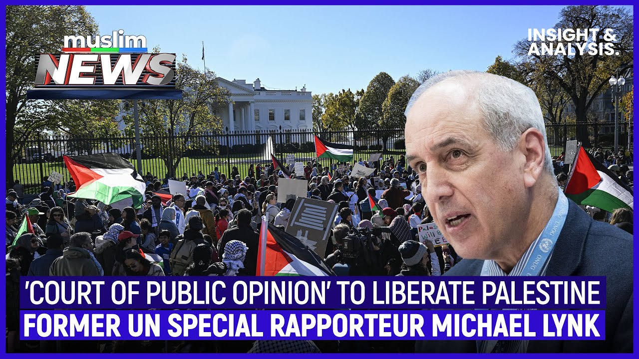 'Court of Public Opinion' To Liberate Palestine - Michael Lynk - YouTube