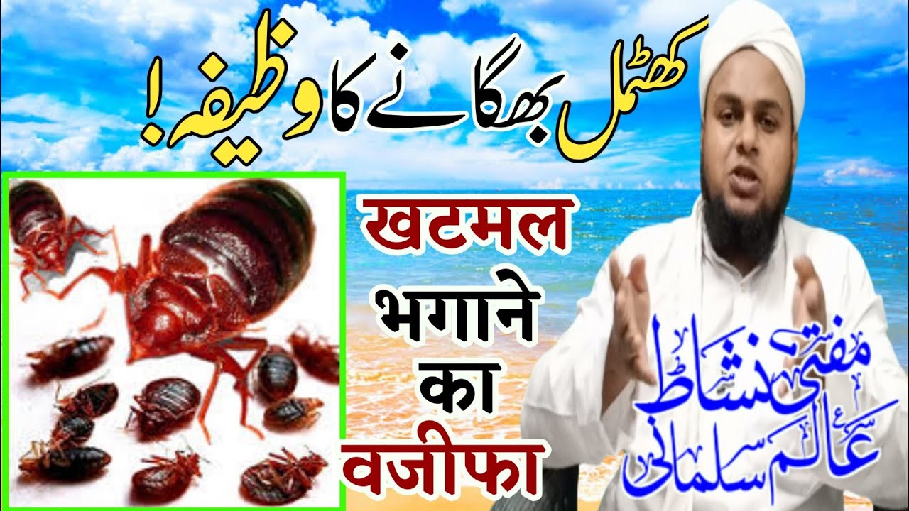 #खटमल भगाने का #वजीफा #khatmal se #nijat #dua #Mufti nishat alam # ...