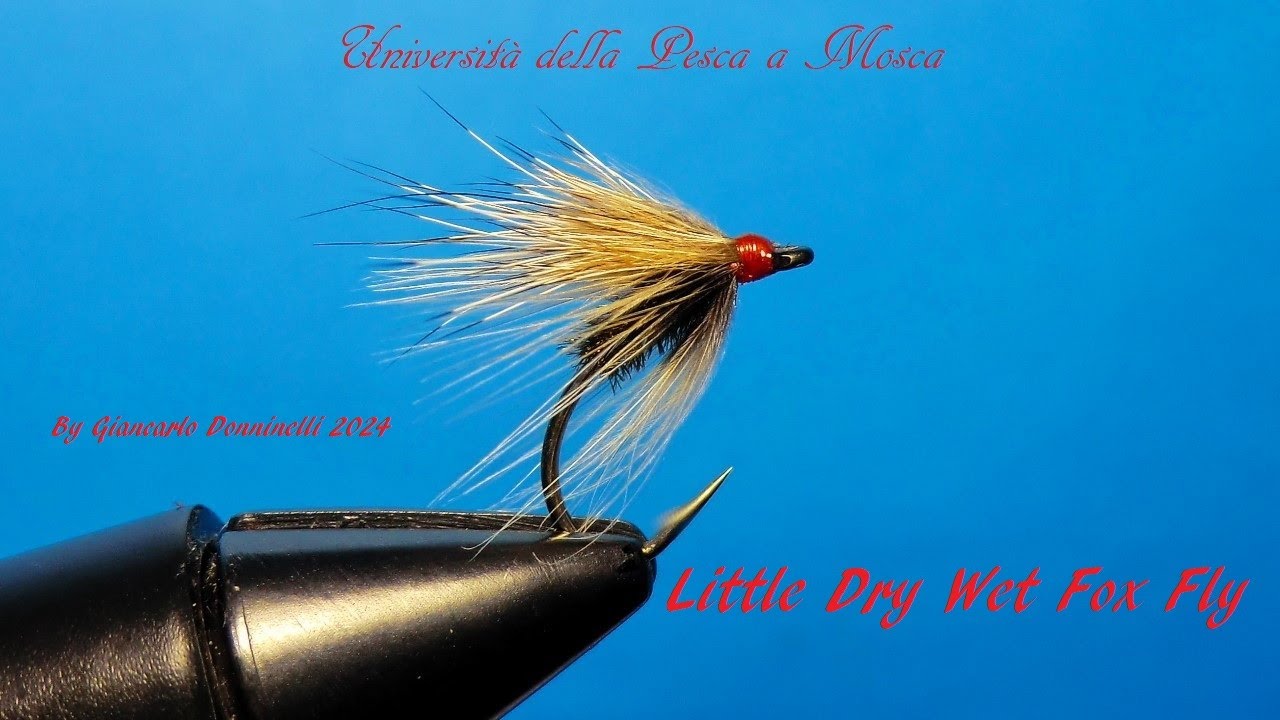 LITTLE DRY WET FOX FLY by Giancarlo Donninelli - YouTube