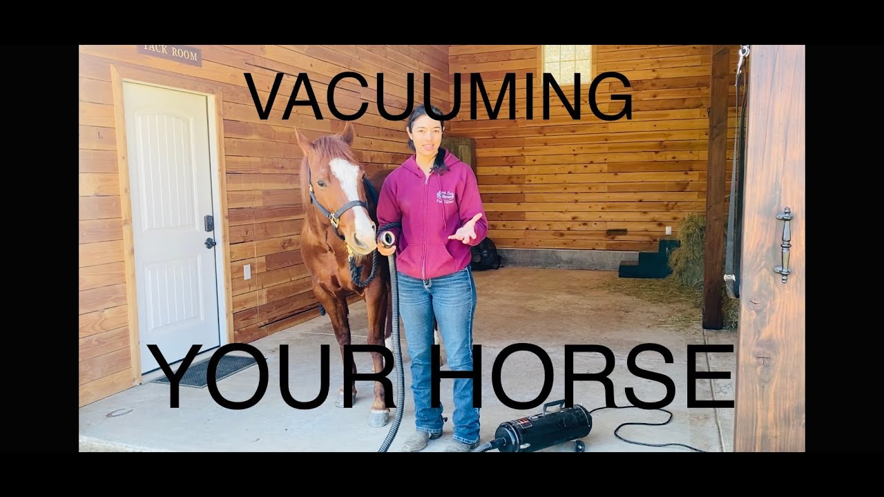 Vacuum your Horse - YouTube