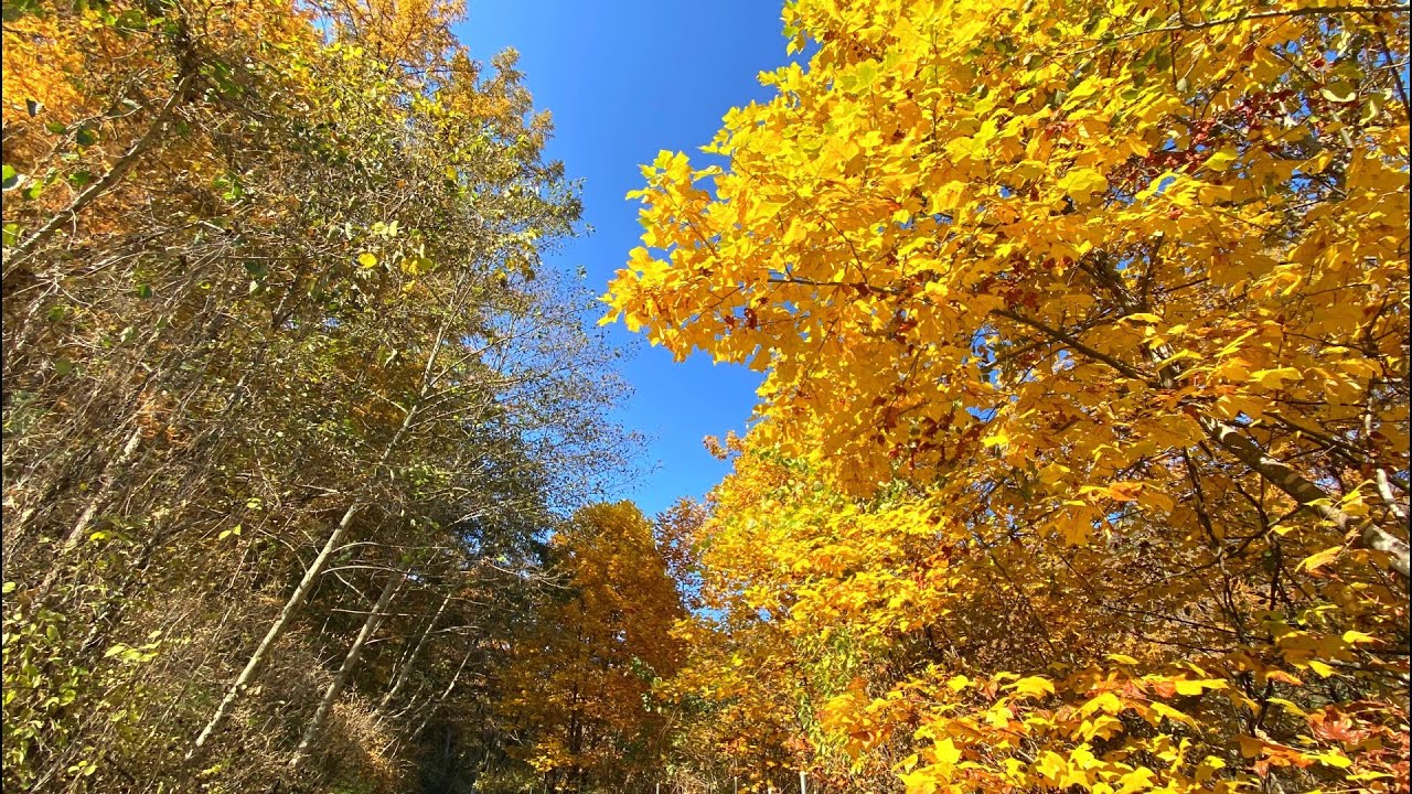 Autumn Mountain Path Walking Tour, Walking on a mountain path in sunny ...