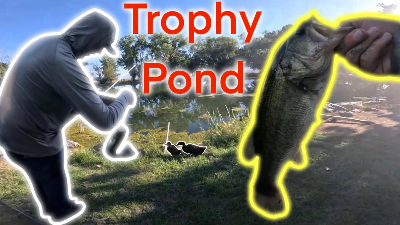 Searching for BIG BASS in a TROPHY POND! (Epic Day) - YouTube