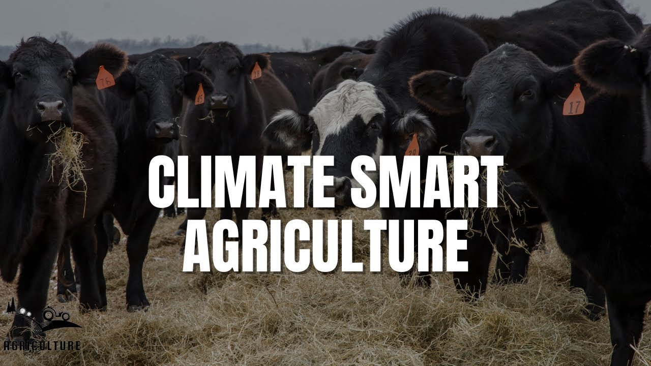 Climate Smart Agriculture: USDA/NCRS registration tips - YouTube