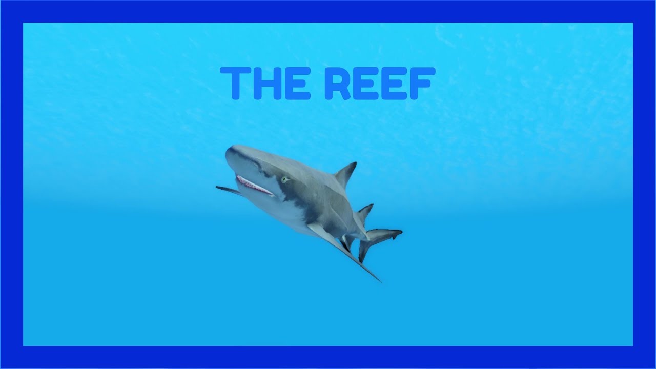 Roblox the reef - YouTube