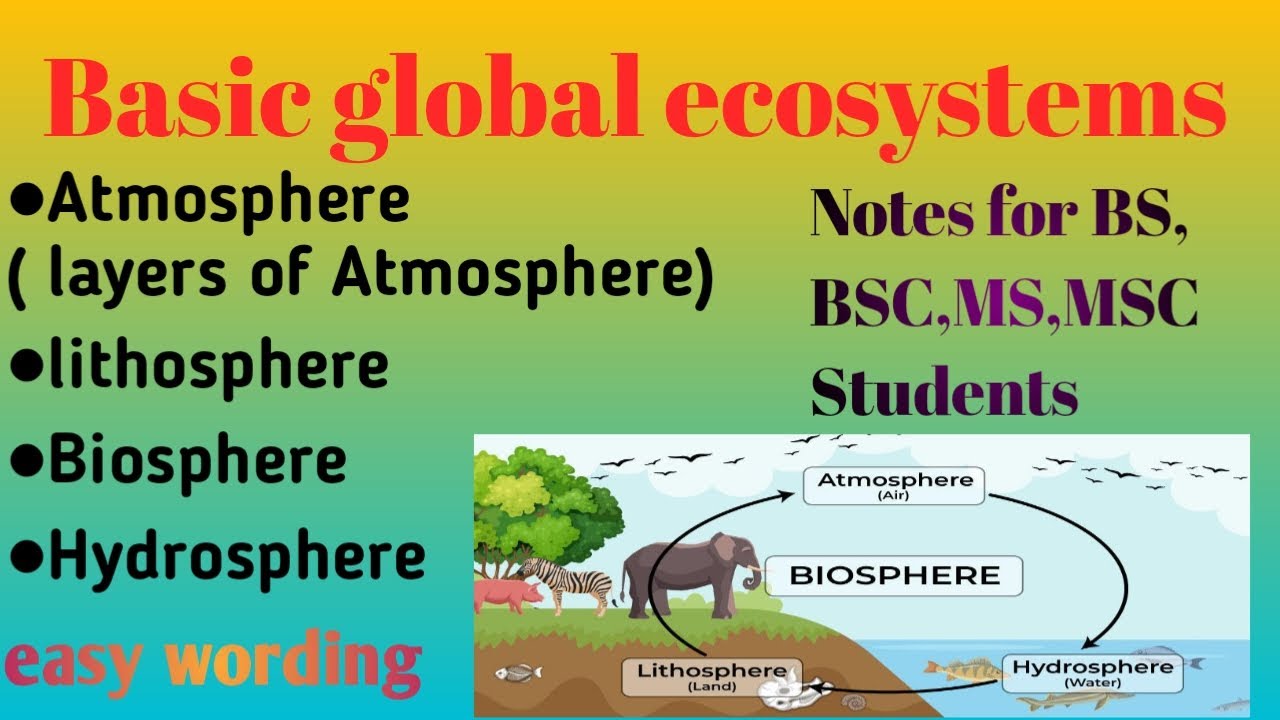 Basic global ecosystems (hydrosphere, lithosphere, ecosphere ...
