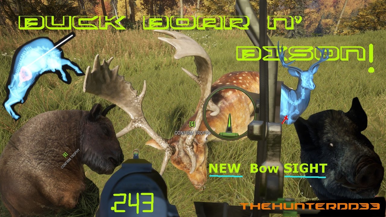 CALL OF THE WILD!! *Buck Boar & Bison* THEHUNTER 2017 - YouTube