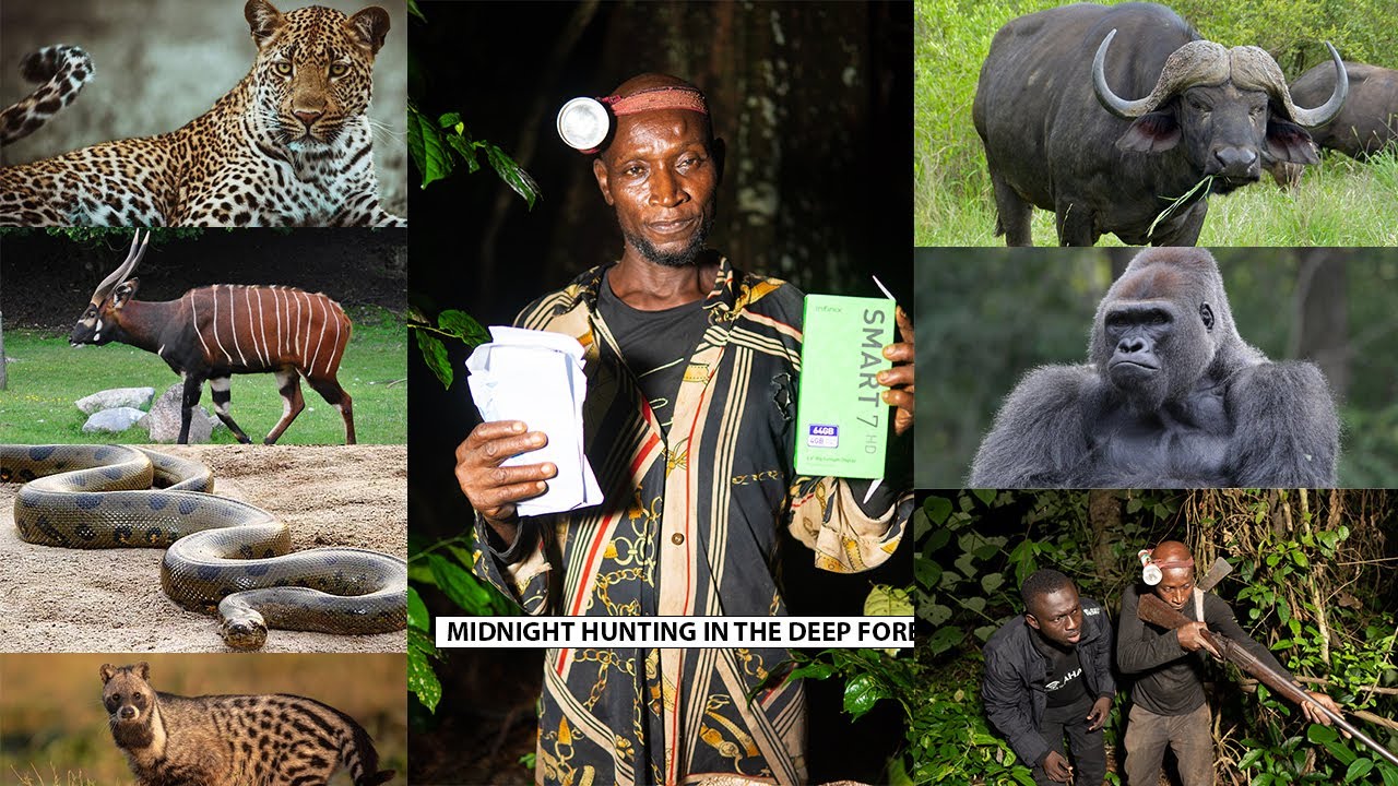 W0W👍Fans surprised HUNTER Agingo with a phone and money in the forest ...