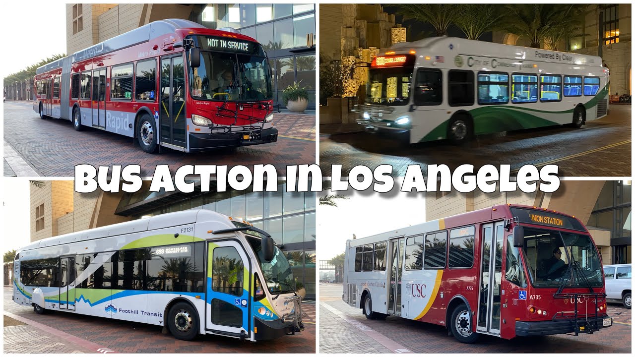 Bus Action In Los Angeles (1/15/20) - YouTube
