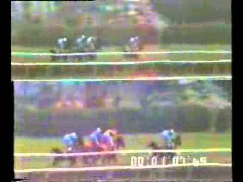 Hafiye İstanbul Koşusu  31-07-1985