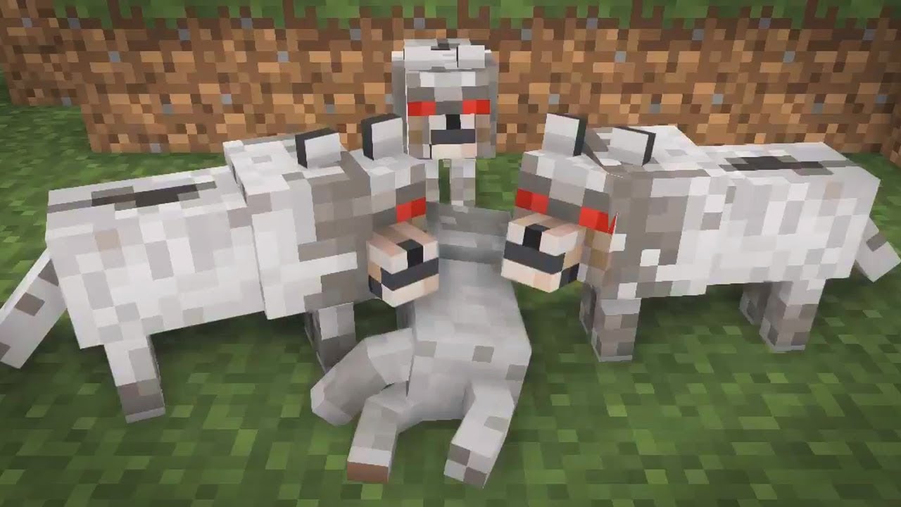 Pet Life - Minecraft Animation Compilation - YouTube