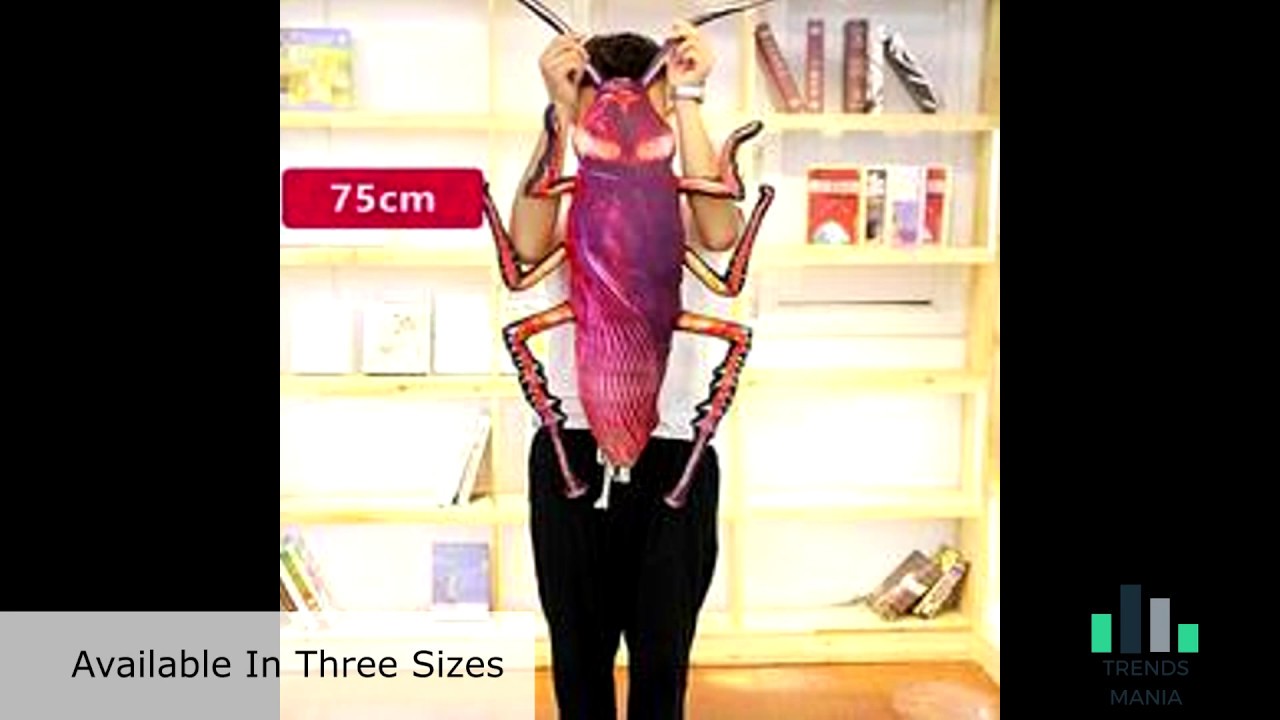Giant CockRoach Plush Toy - YouTube