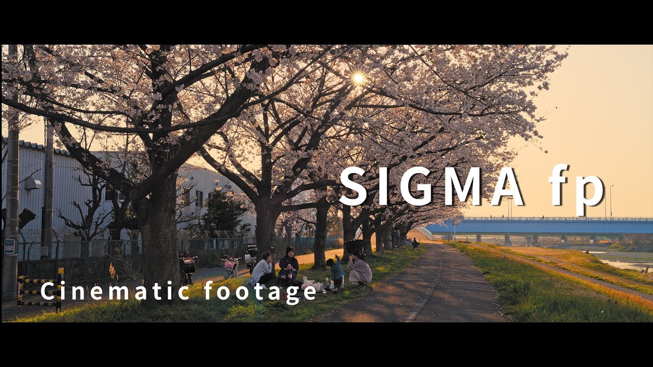 " A DAY " - cinematic - SIGMA fp 4K CinemaDNG 12bit - YouTube