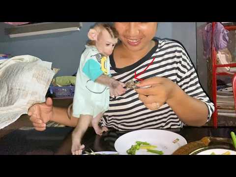 BB DAM Super Curious With Scared Gesture To Dare Touch Shrimp