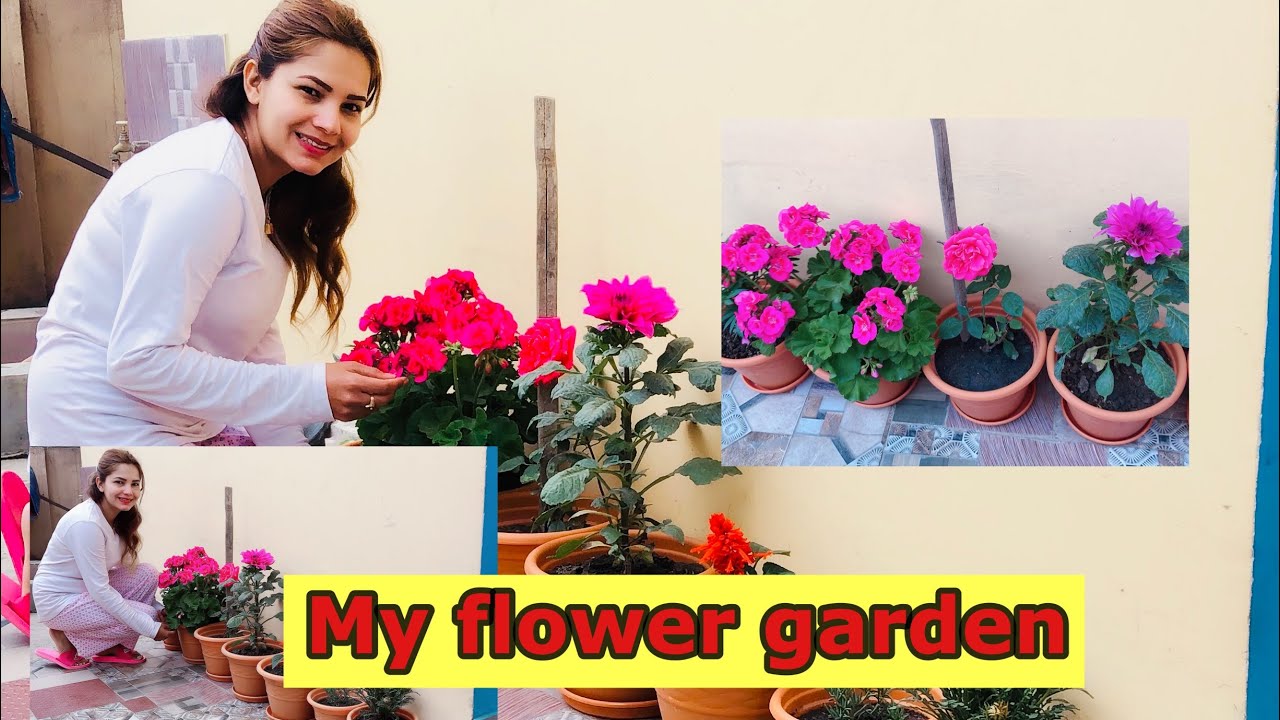 My flower garden #sgvideos - YouTube
