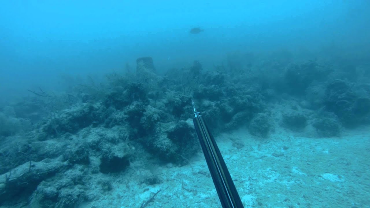 Testing Sea Sniper 110 Enclosed - YouTube