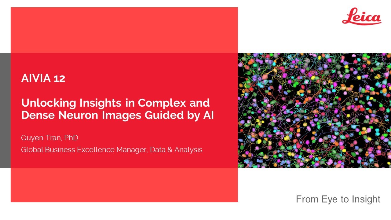 Aivia 12 [Launch] - Unlocking Insights in Complex and Dense Neuron ...