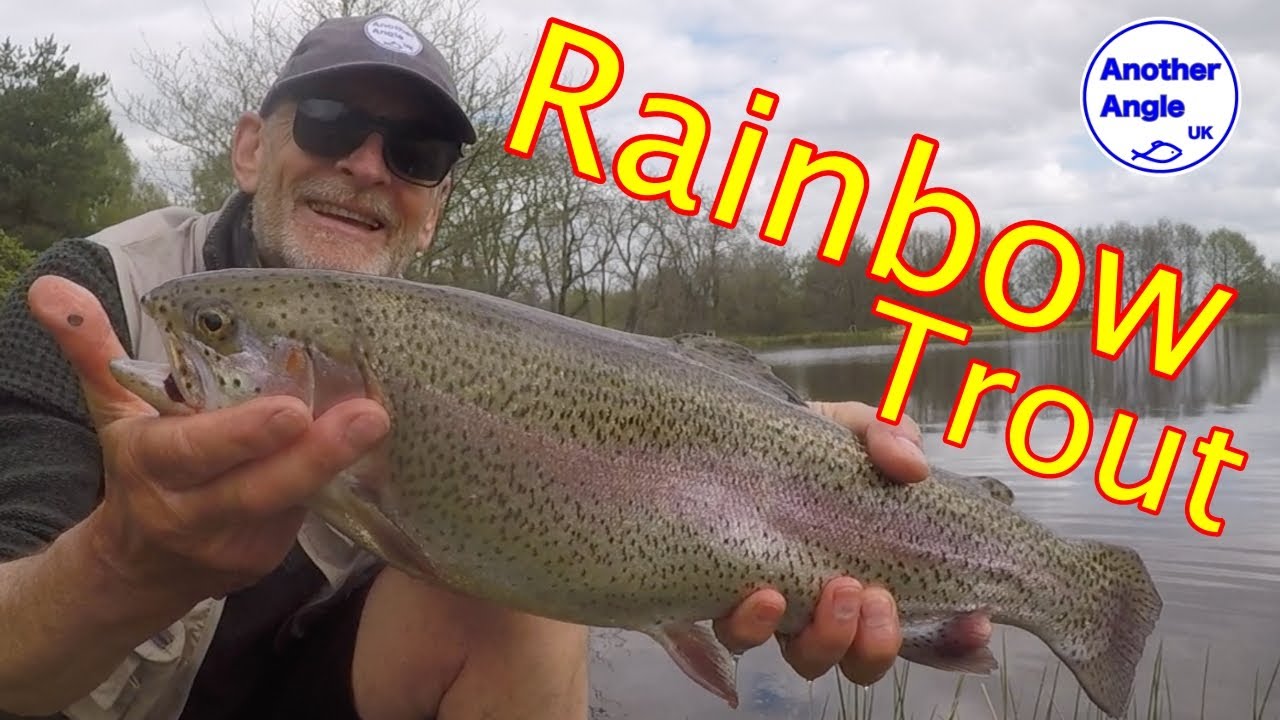 Rainbow Trout : Match the Hatch : Fierce Takes : Midmar Stillwater ...
