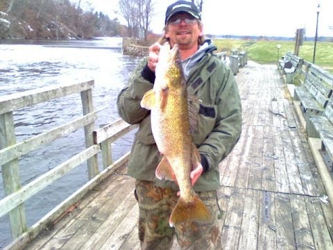 How to clean a walleye - YouTube