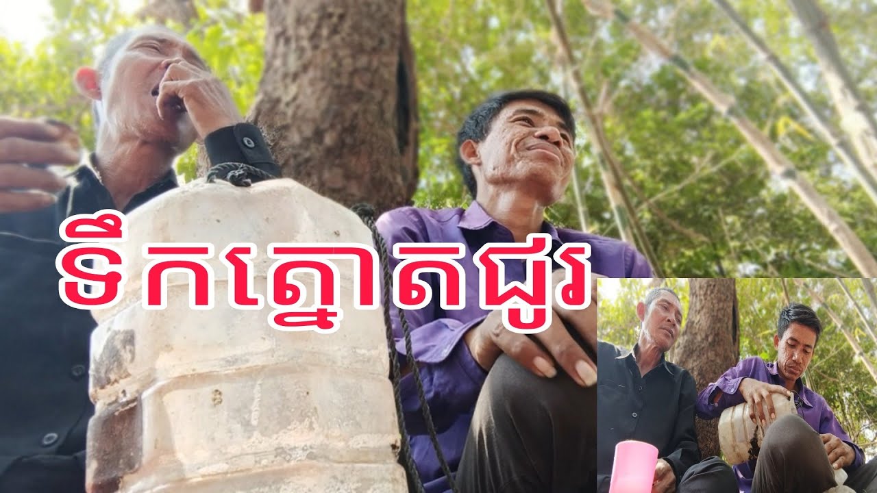 Come and drink sour palm juice/មកផឹកទឹកត្នោតជូរ. - YouTube