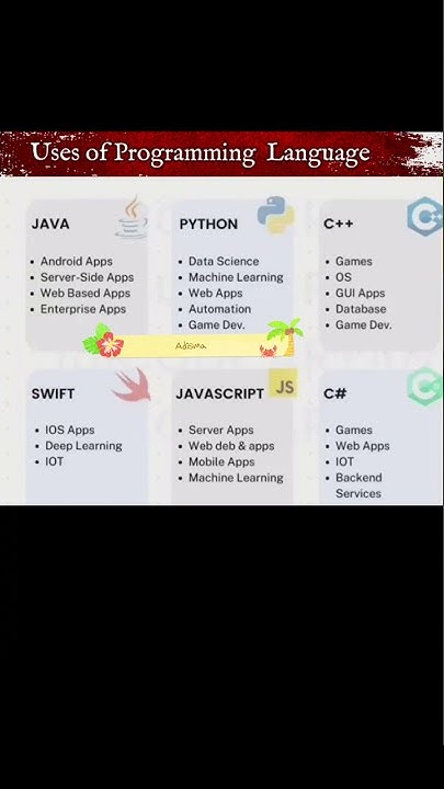 Programming Languages and Thier Uses - YouTube