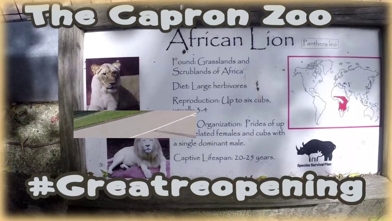 The Capron Zoo Great Reopening - YouTube