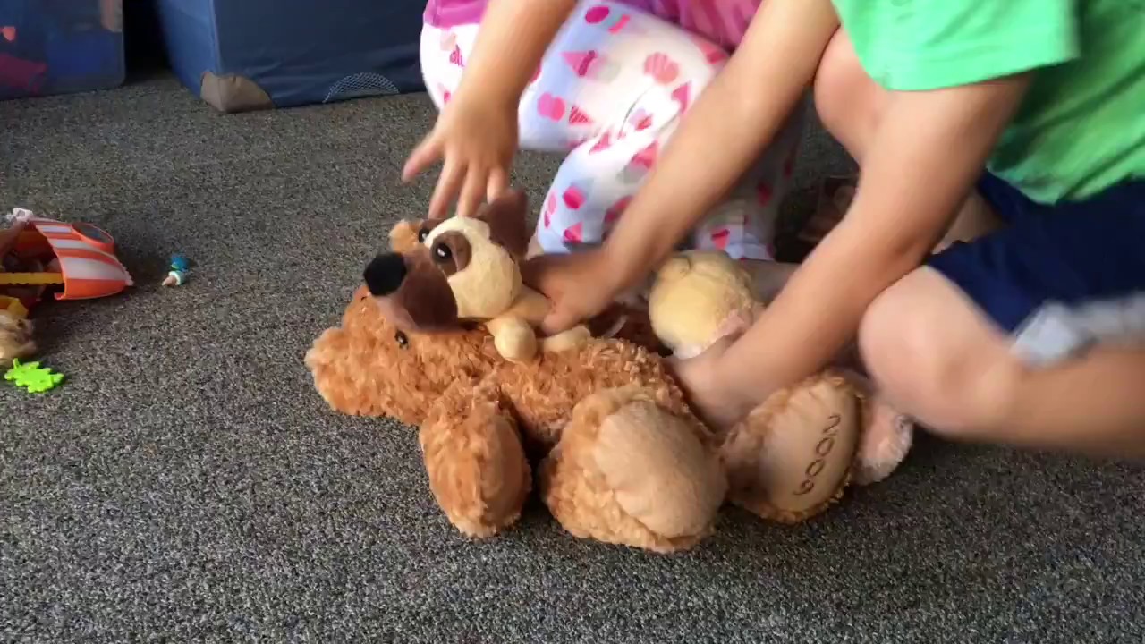 Kids Party! Kids Tossing Stuffed Animals in the Air: Kids Throwing ...