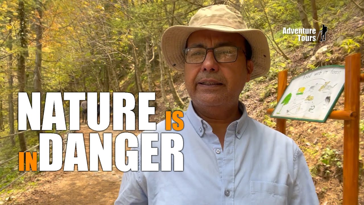 Why Nature Needs My Help? - YouTube