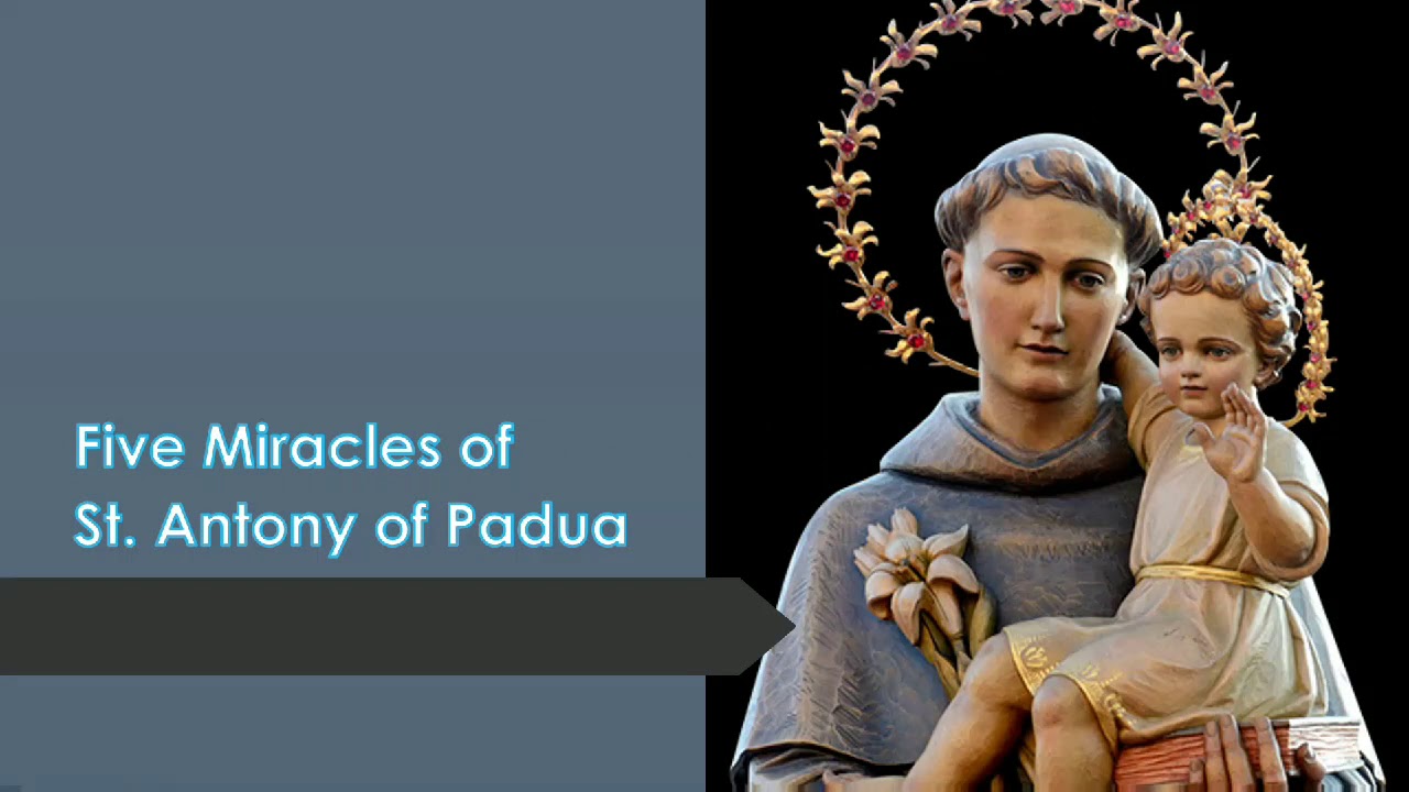 Miracles of St. Anthony of Padua, The Miracle Worker - YouTube