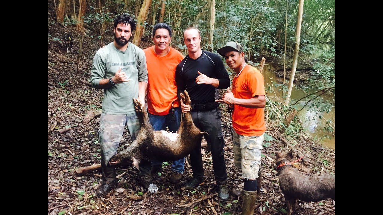 SEARCH Hawaii Episode 3 - Kauai - YouTube