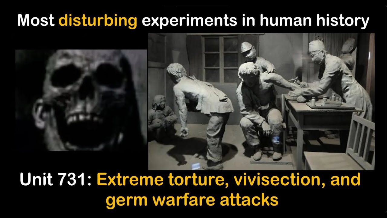 Most disturbing experiments in human history | Mr incredible becoming ...