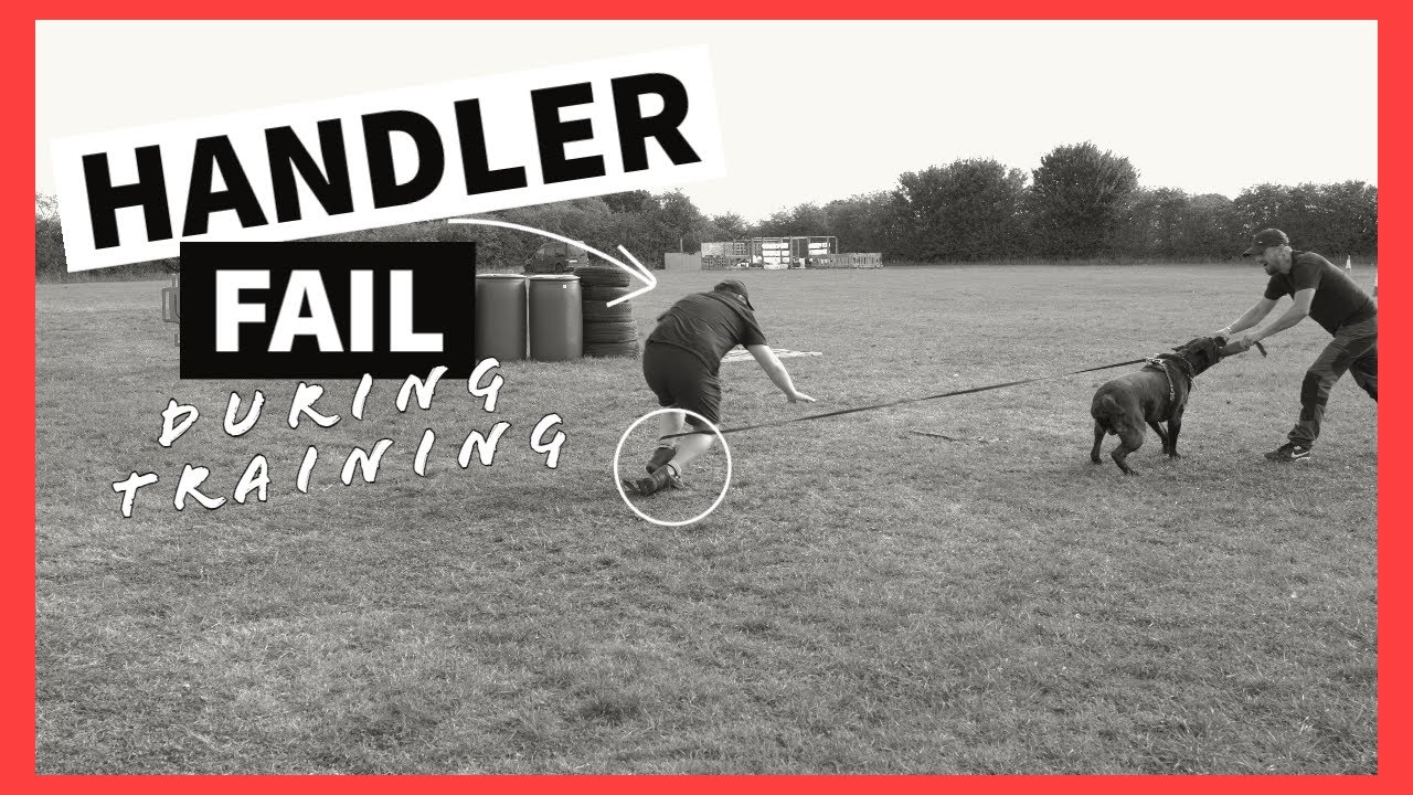 Guarding, Long Sends & Handler Mistake - YouTube