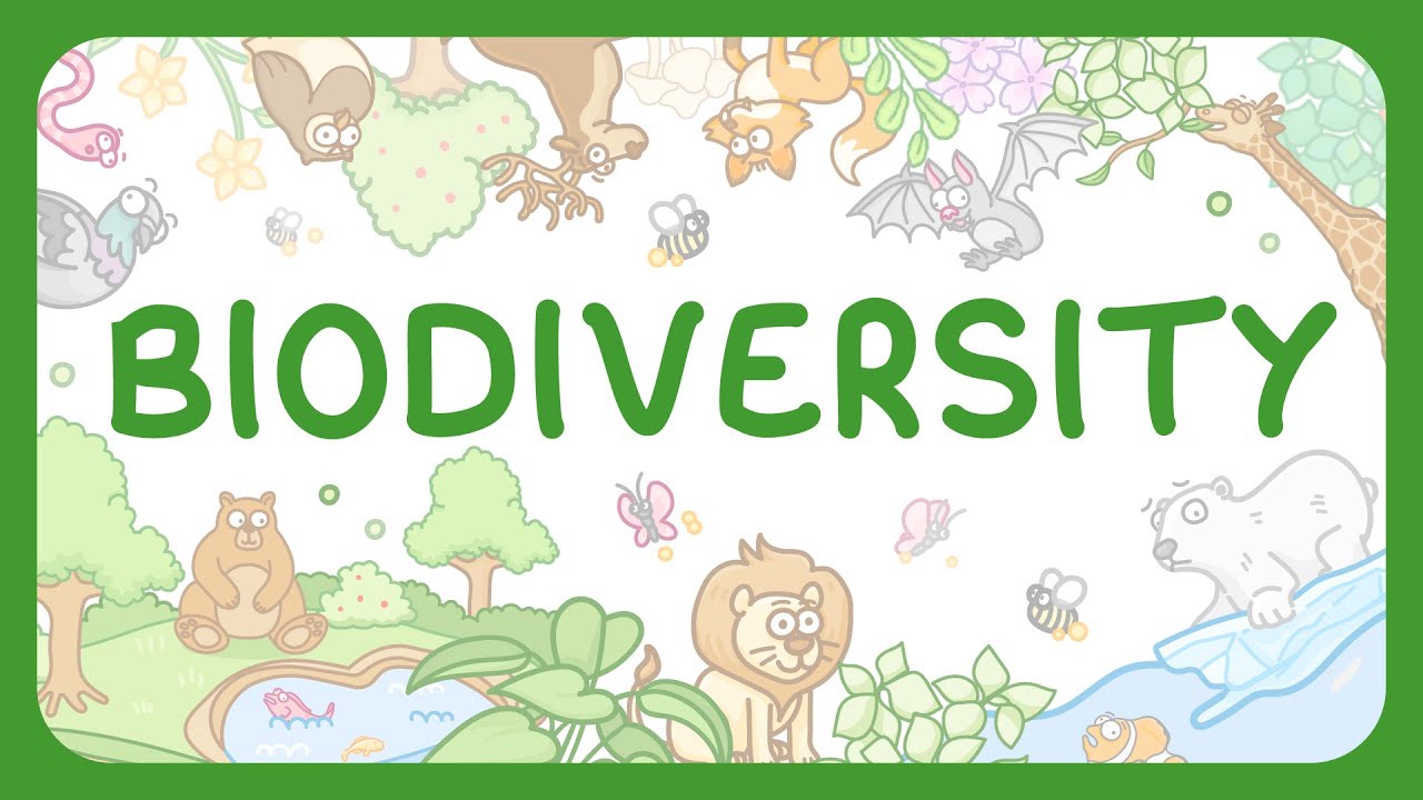 Biodiversity (Middle School Science) - YouTube