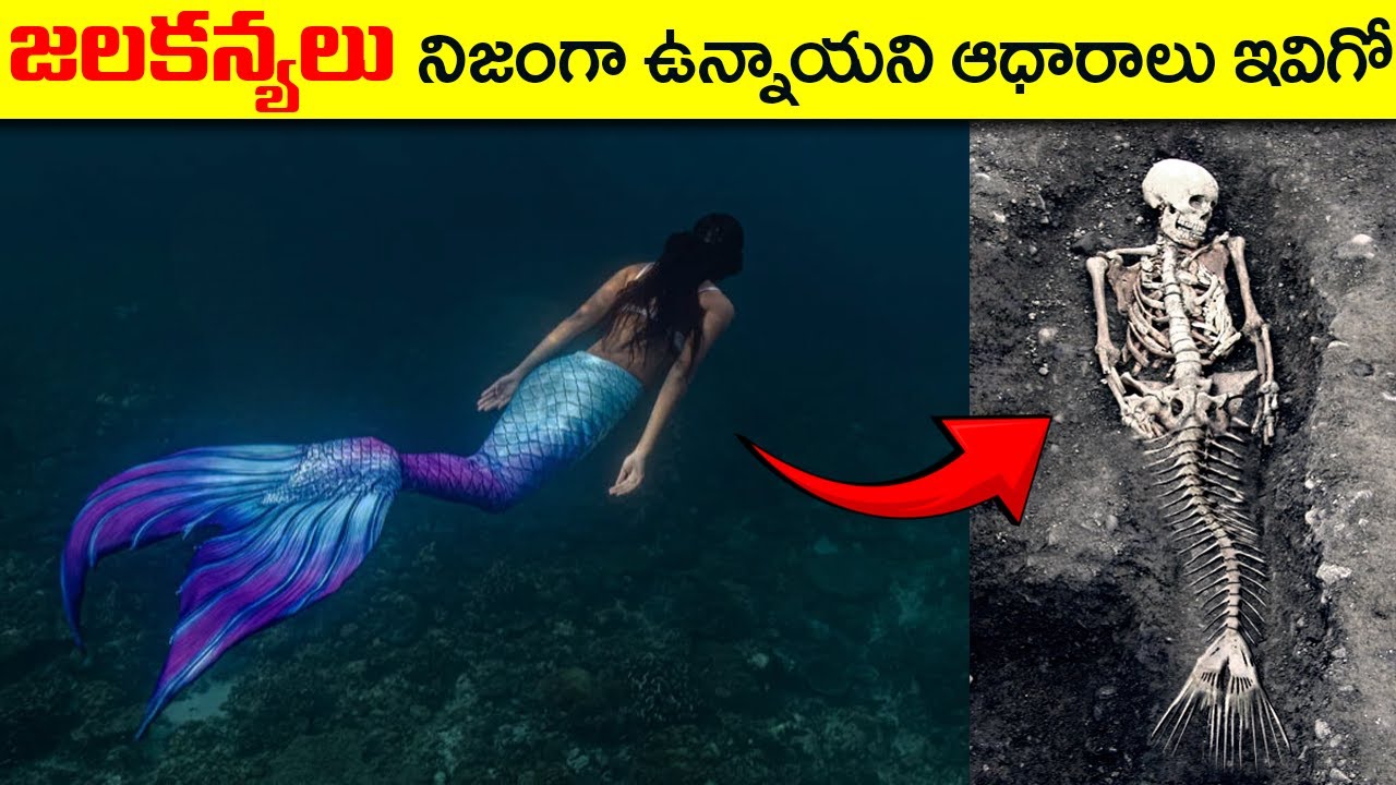 🚨నిజంగా జలకన్యని చూసాడు | Mermaid Caught on Camera | is Mermaid Really ...