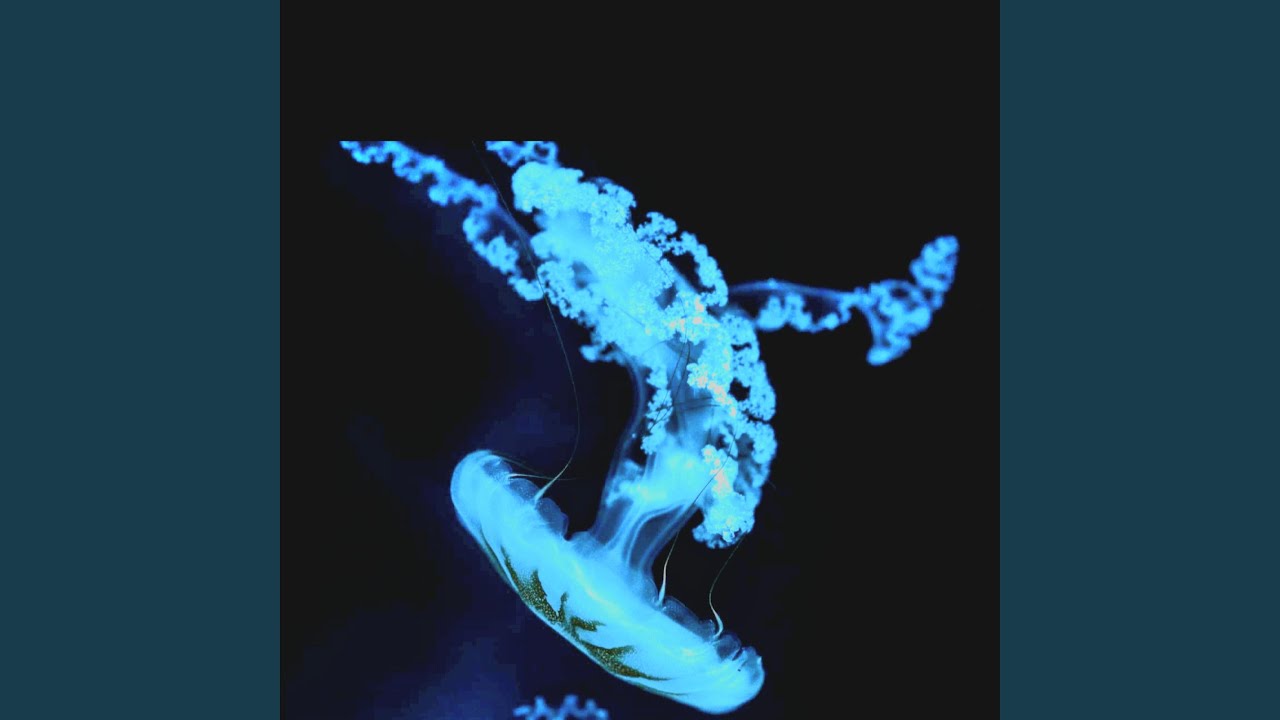 Voltage (feat. Calhem Parker) (Calhem Parker Remix) - YouTube