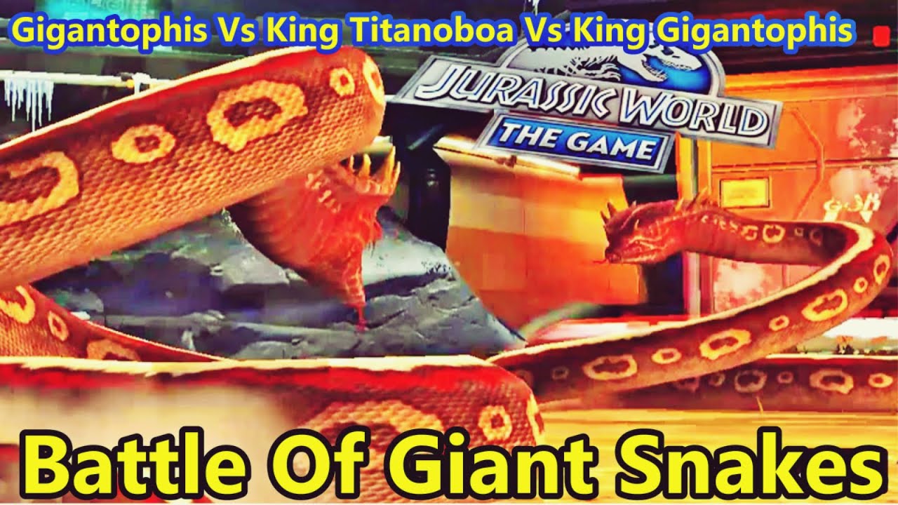 Gigantophis Vs Titanoboa Vs King Cobra - Jurassic World The Game - YouTube